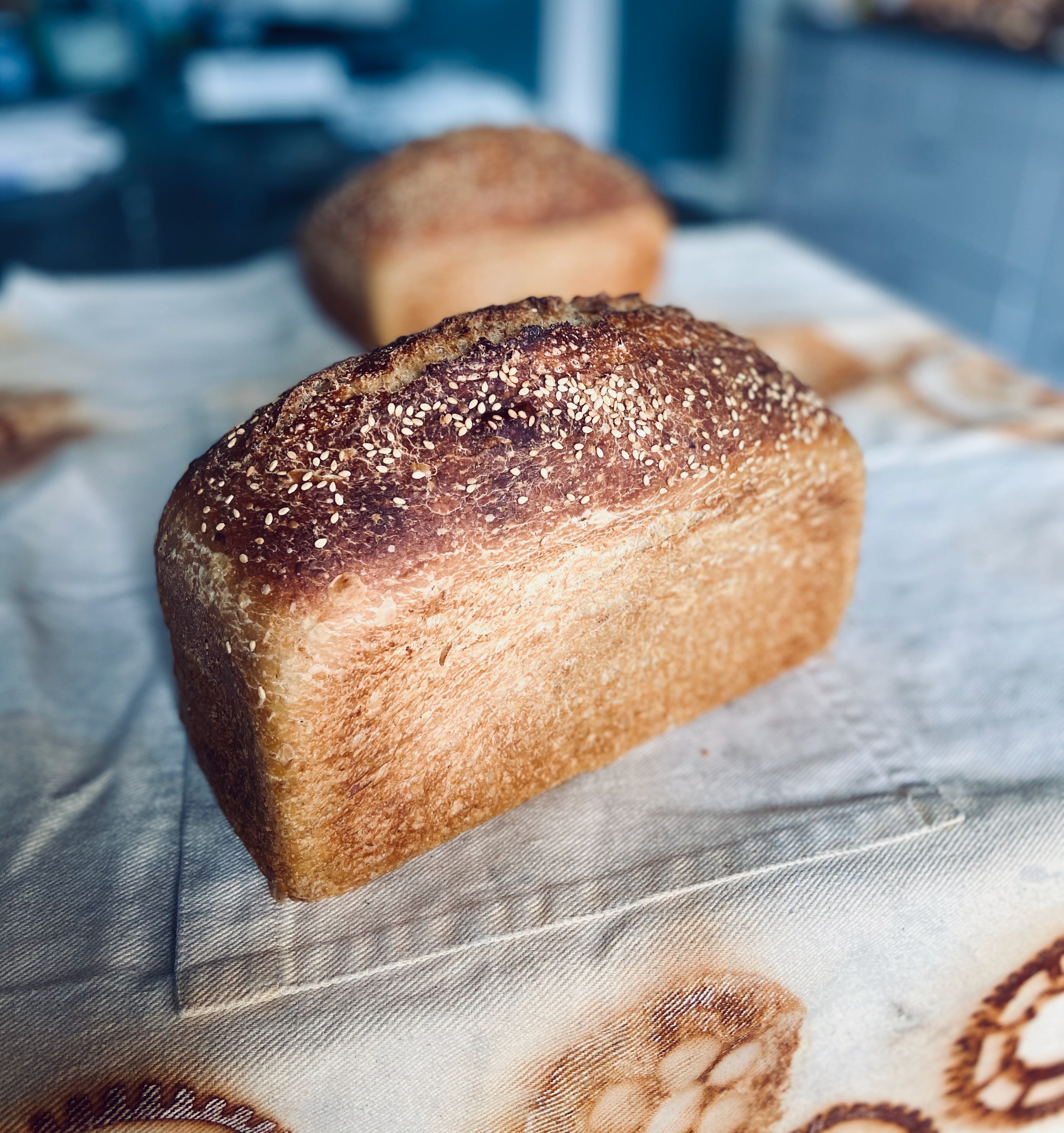 Baker's Choice: Harvest Bread