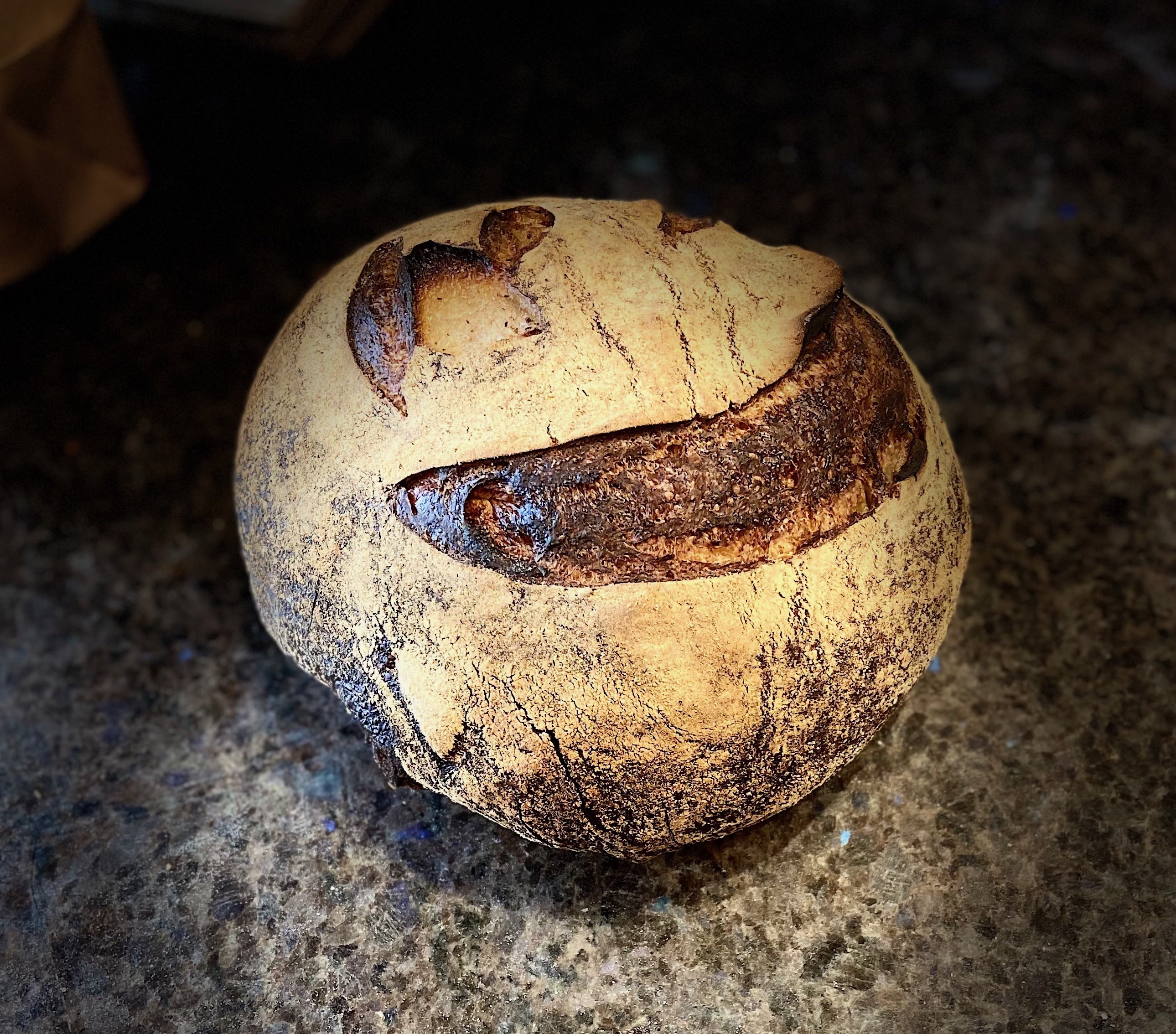 Baker's Choice: Garlic Levain